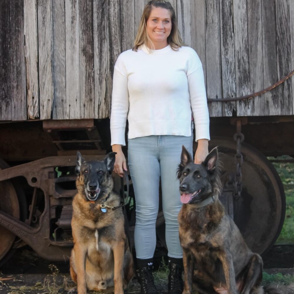 Project Be The Shield – Deter · Detect · Defend