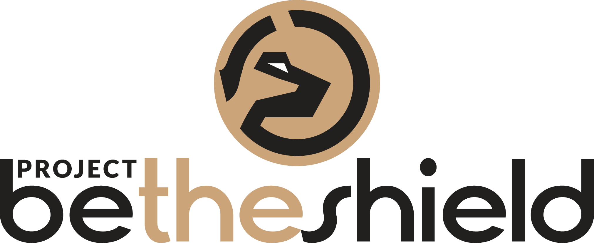 Project Be The Shield – Deter · Detect · Defend